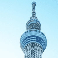 set() / Reference / Processing.org