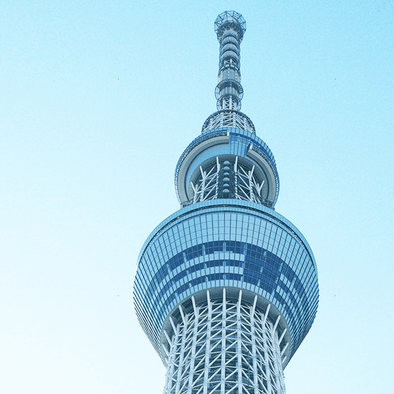 set() / Reference / Processing.org