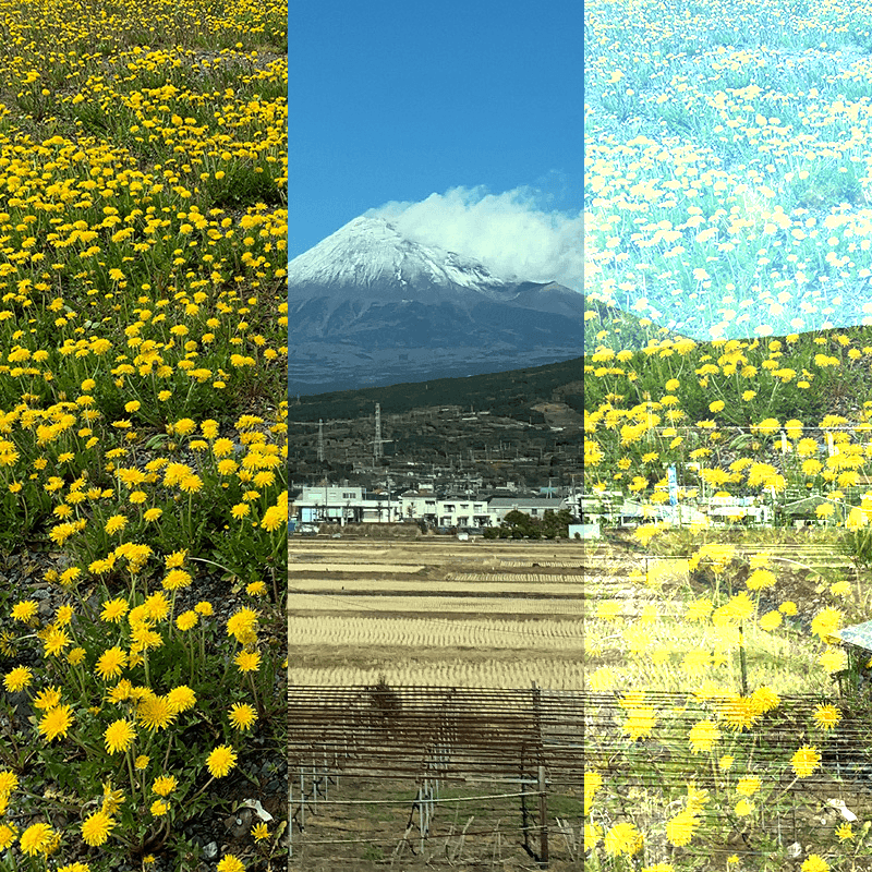 blend() / Reference / Processing.org