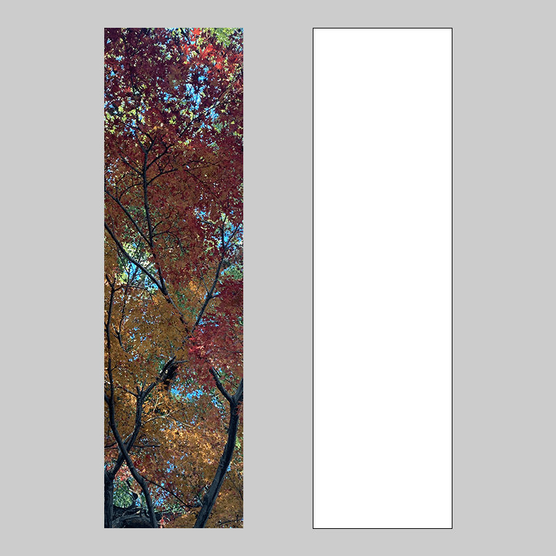 PImage::width / Reference / Processing.org