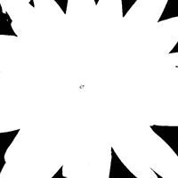 Filter Reference Processing Org