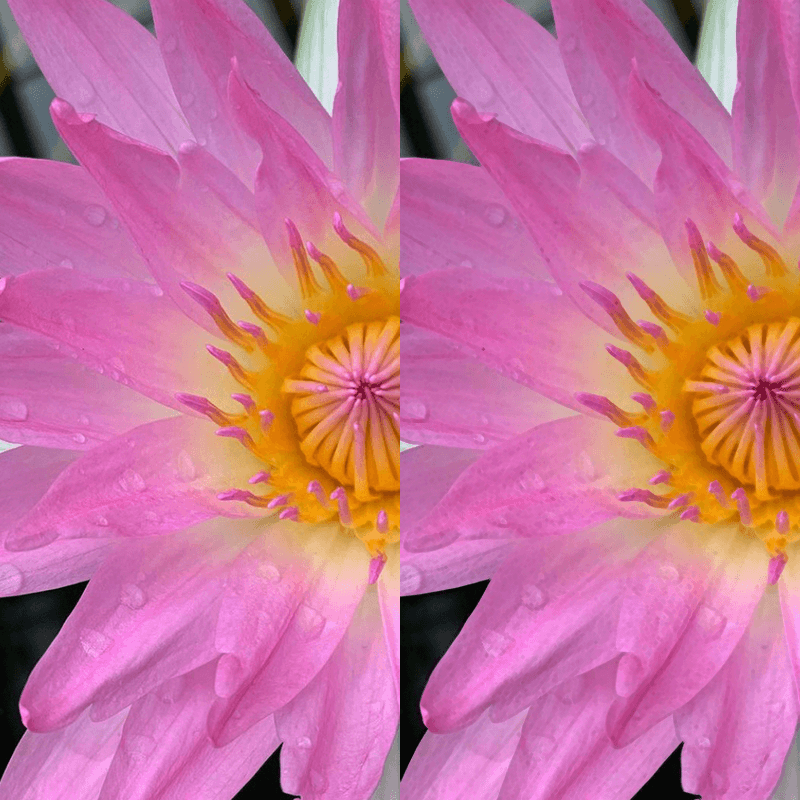 filter() / Reference / Processing.org