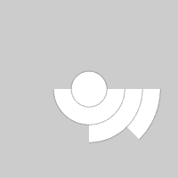 QUARTER_PI / Reference / Processing.org