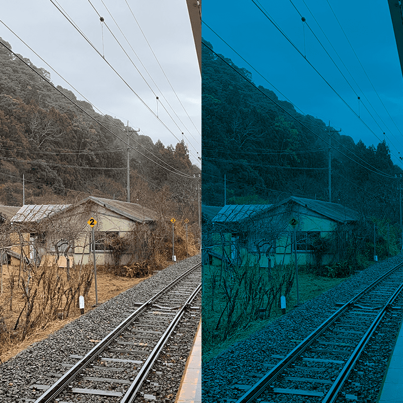 tint() / Reference / Processing.org