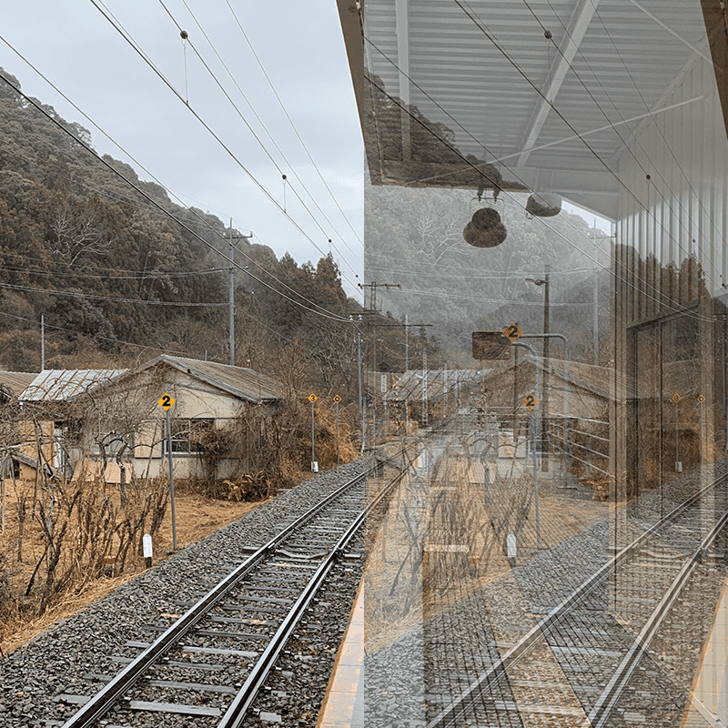 tint() / Reference / Processing.org