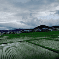 PImage / Reference / Processing.org