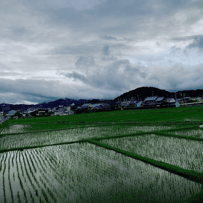 PImage / Reference / Processing.org