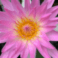 Filter Reference Processing Org