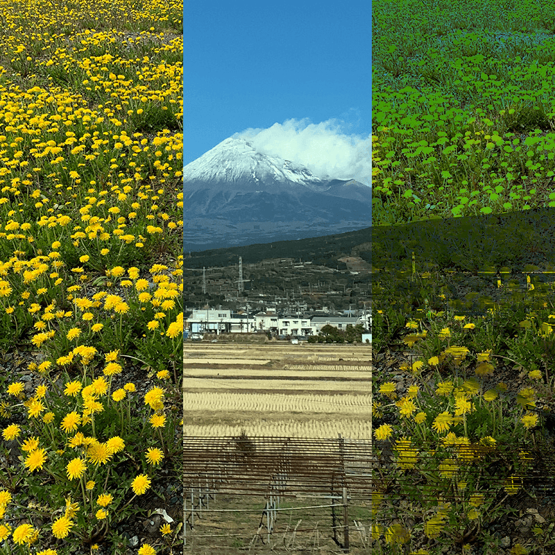 blend() / Reference / Processing.org