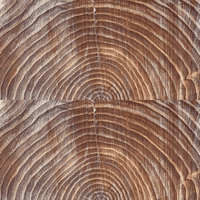 loadPixels() / Reference / Processing.org