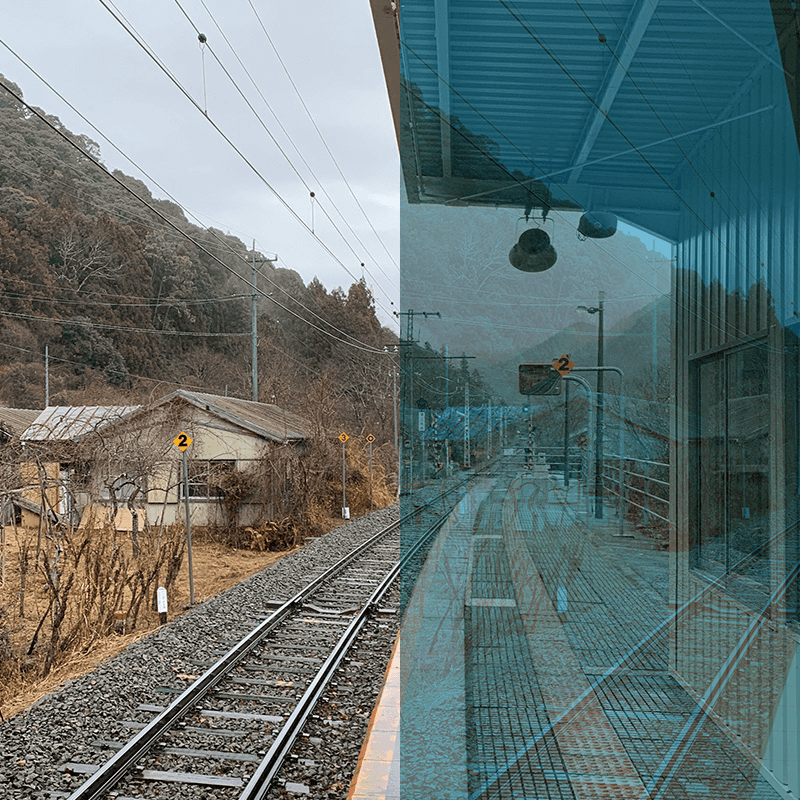 tint() / Reference / Processing.org