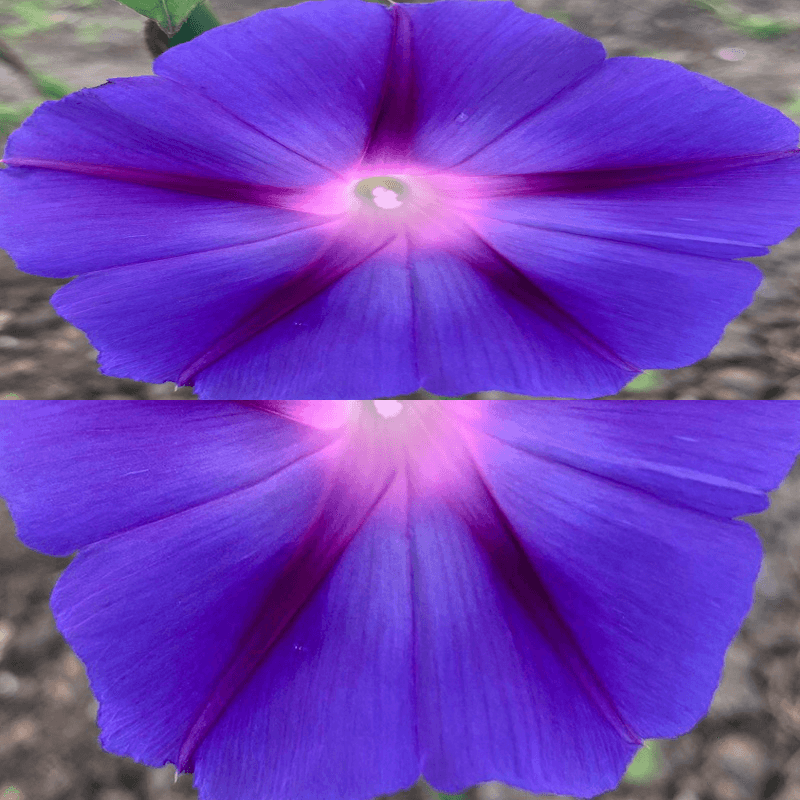 resize() / Reference / Processing.org